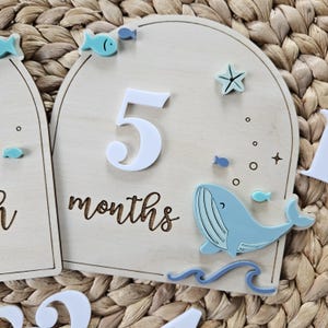 Ocean Whale Monthly Milestone Disc | Baby Monthly Discs for Photos ...