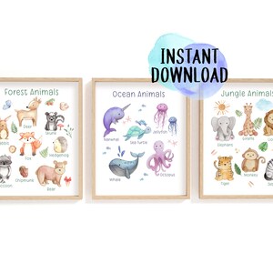 Animal Poster Printables | Set of Three Educational Animal Prints ...