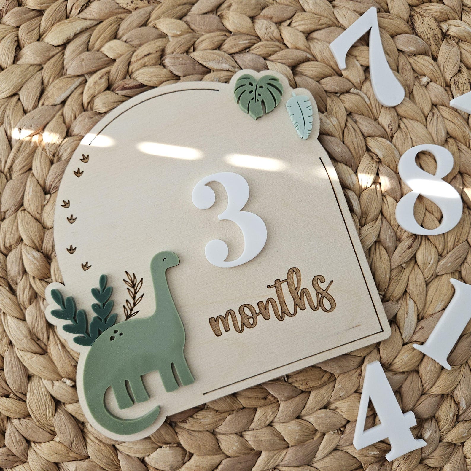 Dinosaur Monthly Milestone Discs | Baby Monthly Discs for Photos ...