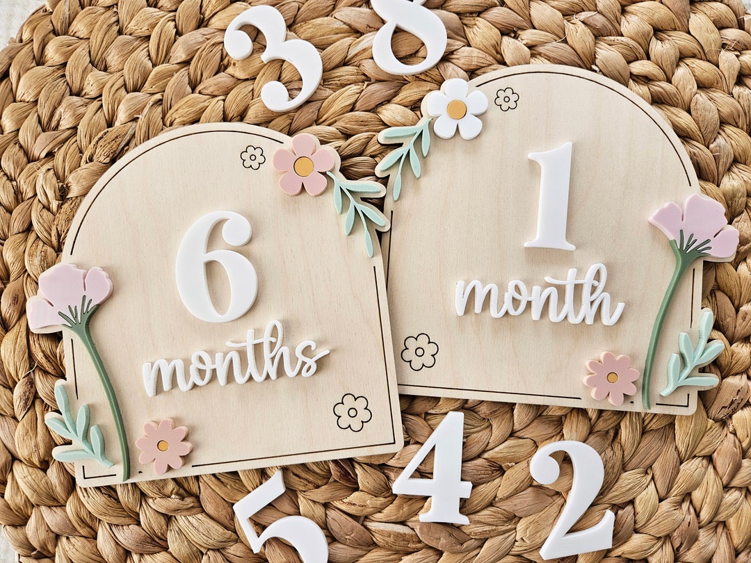 Wildflower Monthly Milestone Discs Baby Monthly Discs for Photos ...