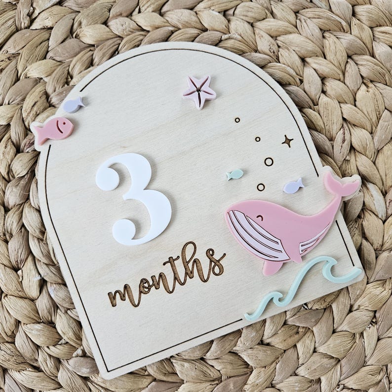 Ocean Whale Baby Milestone Discs | Reversible Monthly Photo Prop - Etsy