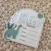 Dinosaur Baby Name Sign | Newborn Birth Announcement Name Plaque | Arch ...