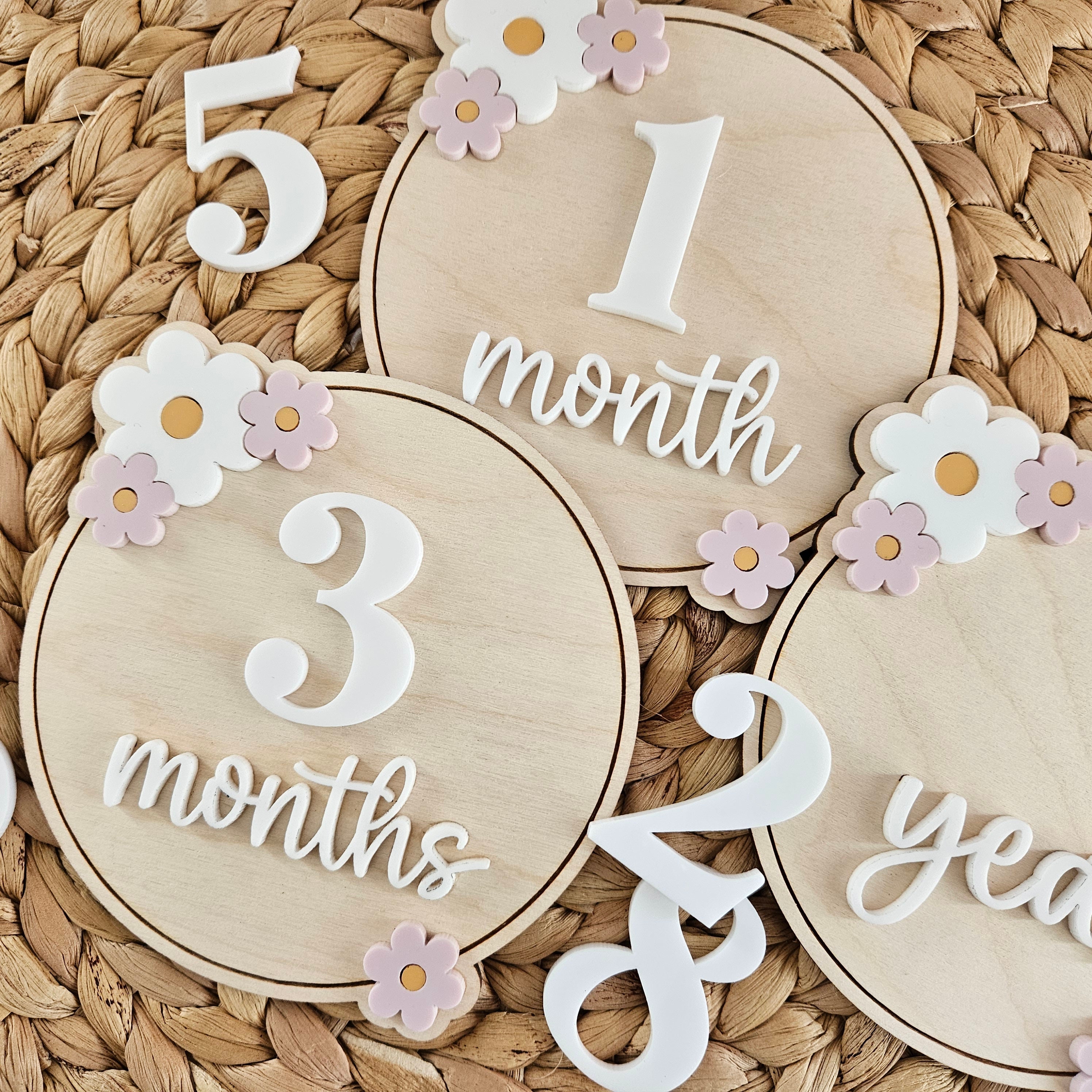 Monthly Milestone Discs | Baby Monthly Discs for Photos ...