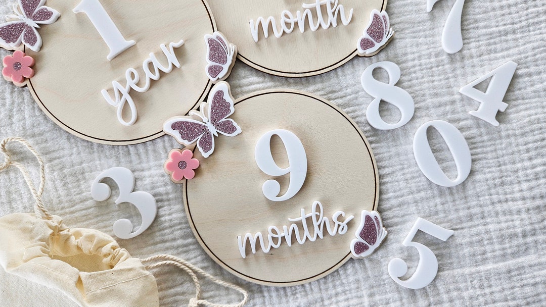 Monthly Milestone Discs | Baby Monthly Discs for Photos ...