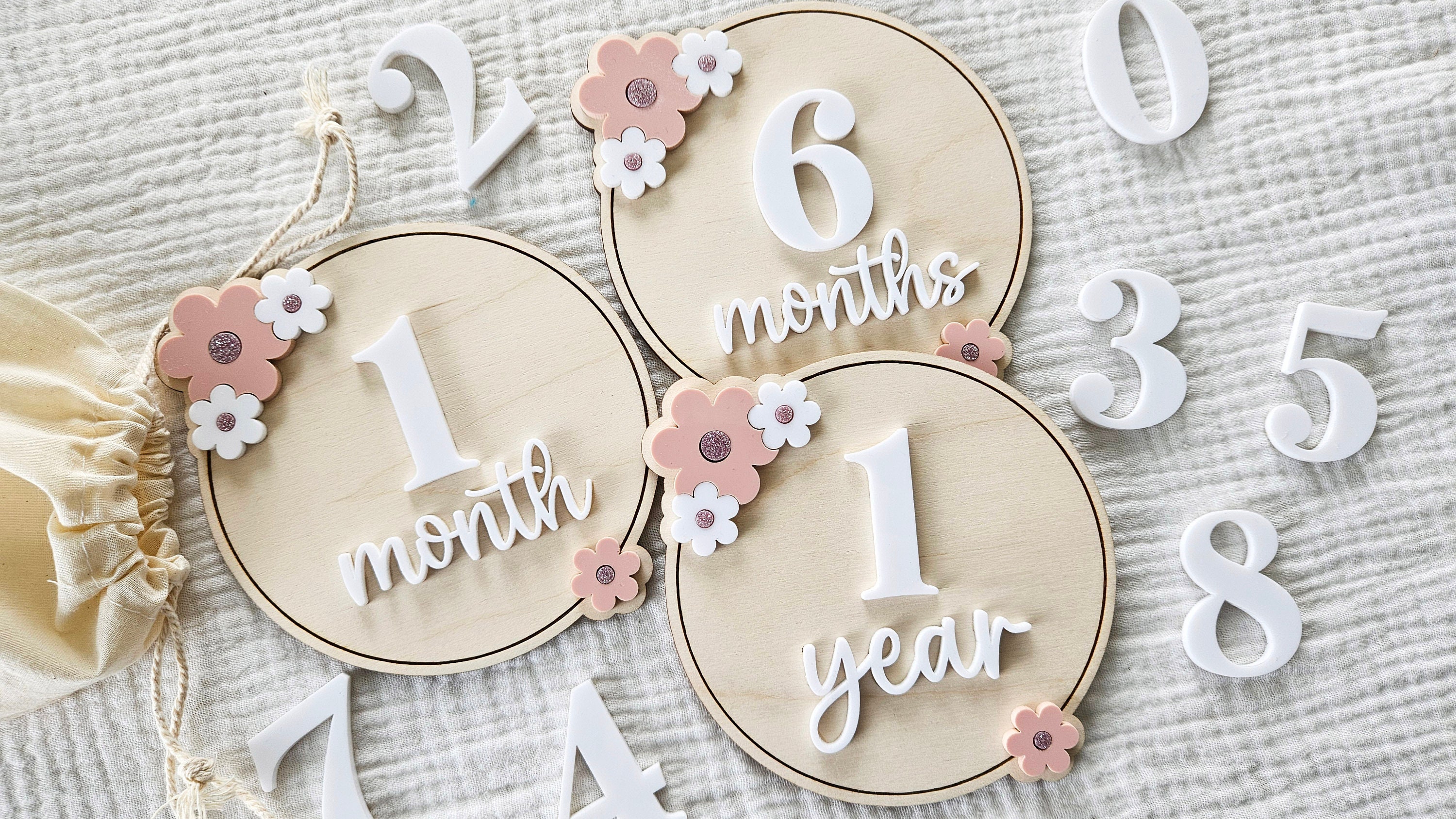 Monthly Milestone Discs | Baby Monthly Discs for Photos ...