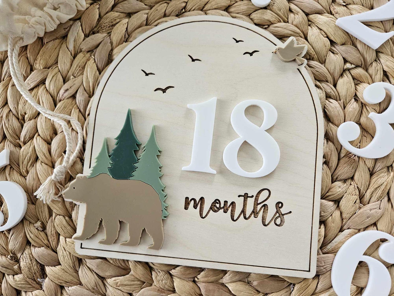Bear and Trees Monthly Milestone Disc | Baby Monthly Discs for Photos ...