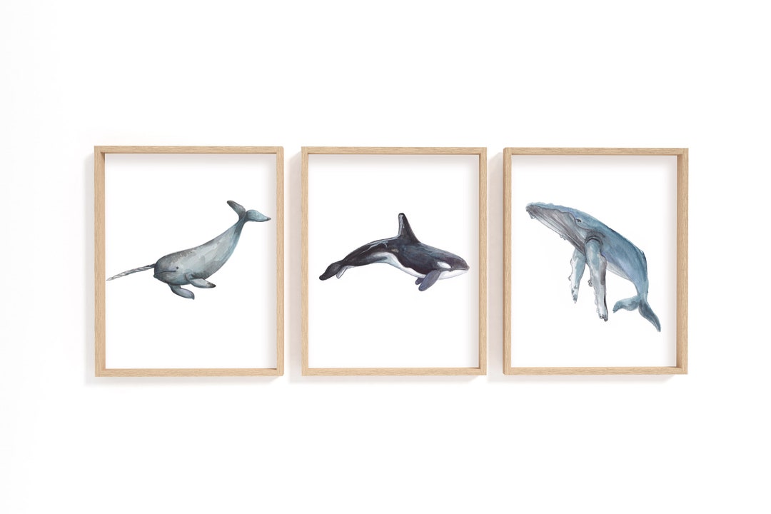 Watercolour Whale Print Set | Whale Wall Art - Etsy