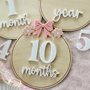 Monthly Milestone Discs | Baby Monthly Discs for Photos ...