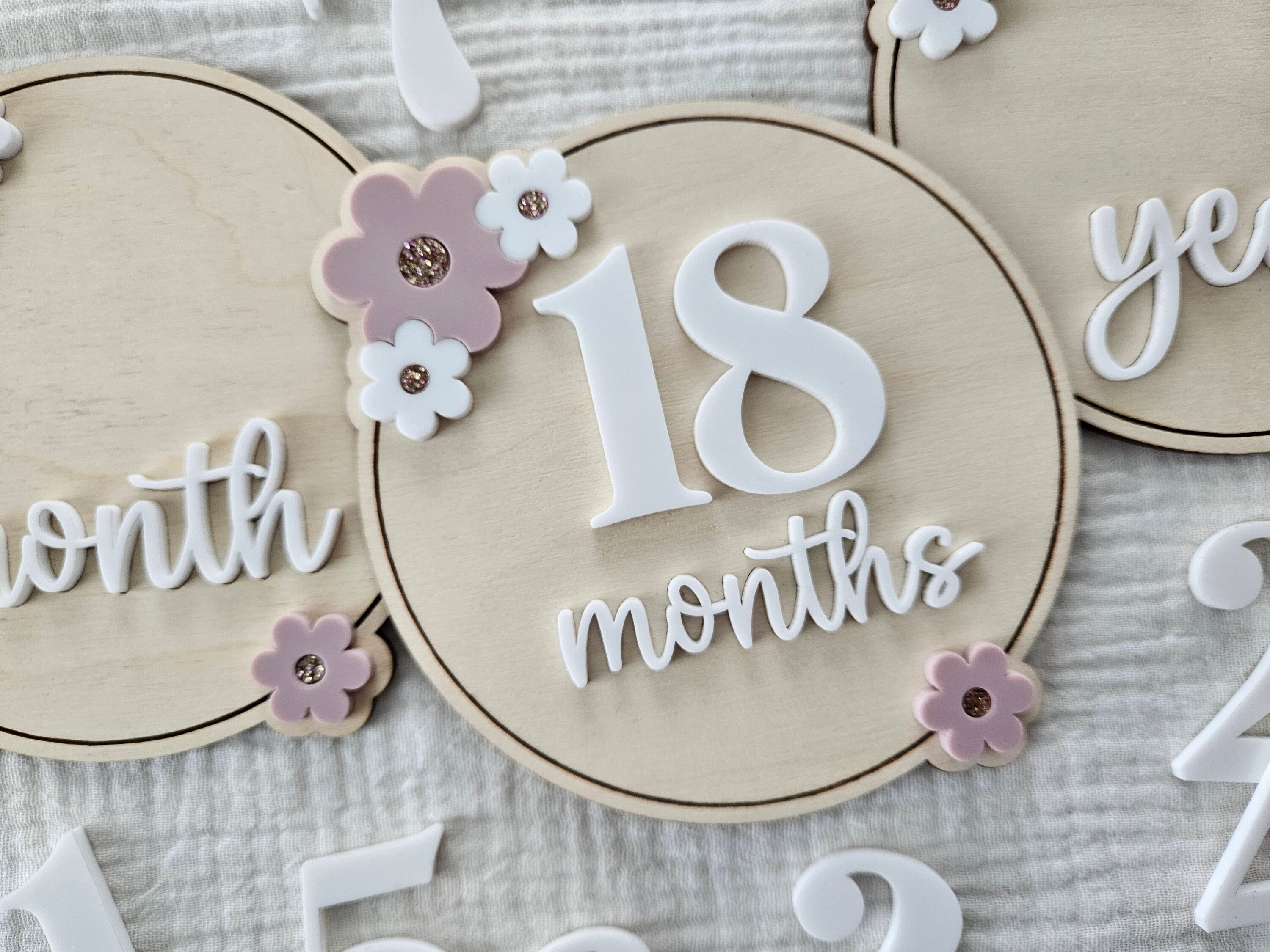 Monthly Milestone Discs | Baby Monthly Discs for Photos ...