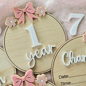 Monthly Milestone Discs | Baby Monthly Discs for Photos ...