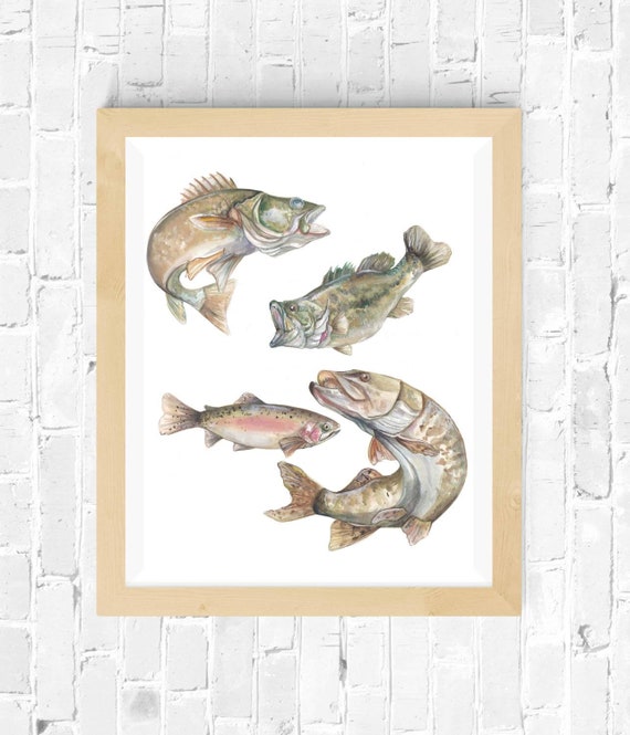 Freshwater Fish Print/ Walleye Muskie Bass Trout Print | Etsy