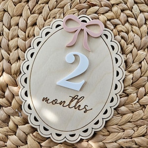 Bow Themed Monthly Milestone Discs | Baby Monthly Discs for Photos ...