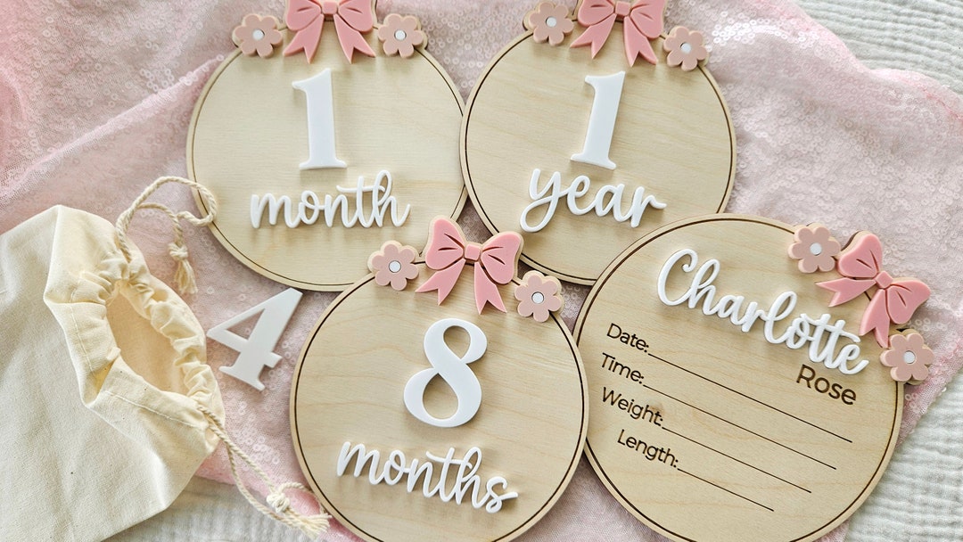 Monthly Milestone Discs | Baby Monthly Discs for Photos ...