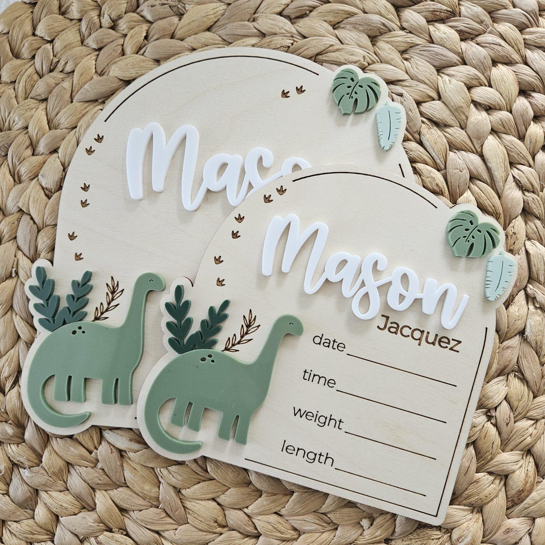 Dinosaur Baby Name Sign | Newborn Birth Announcement Name Plaque | Arch ...