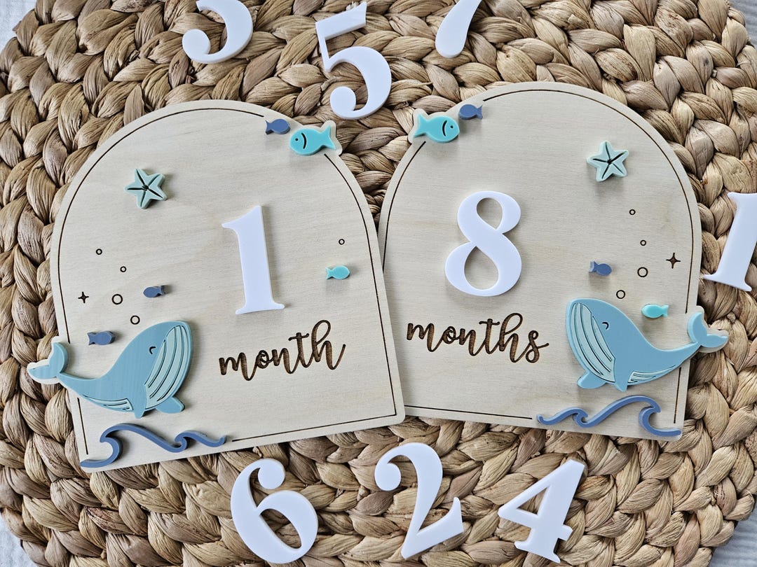 Ocean Whale Monthly Milestone Disc | Baby Monthly Discs for Photos ...
