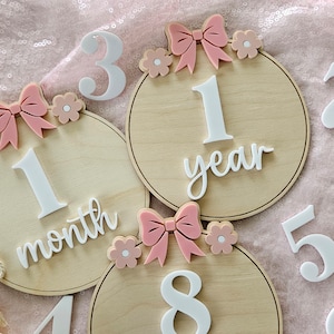 Monthly Milestone Discs | Baby Monthly Discs for Photos ...