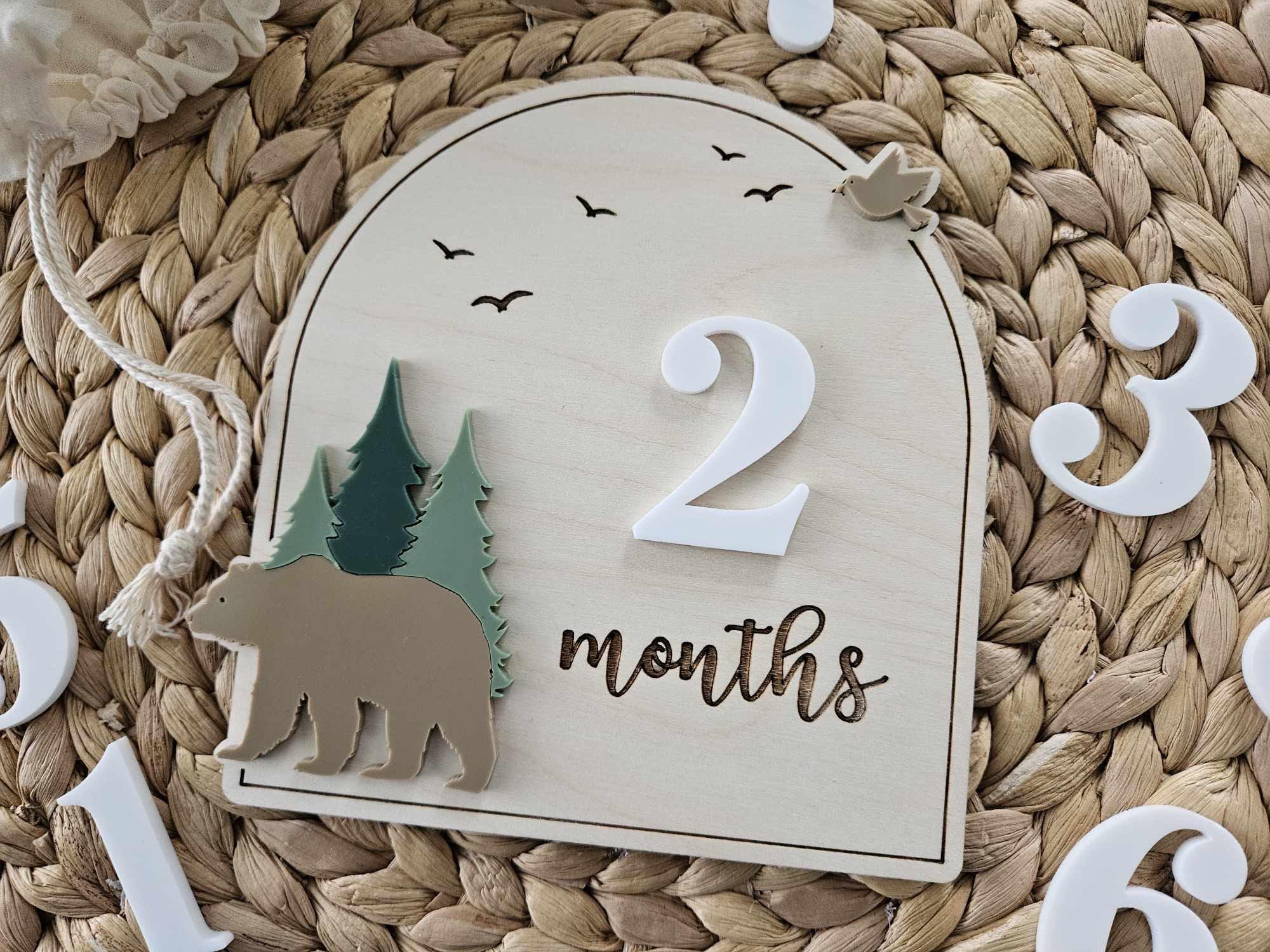 Bear and Trees Monthly Milestone Disc | Baby Monthly Discs for Photos ...