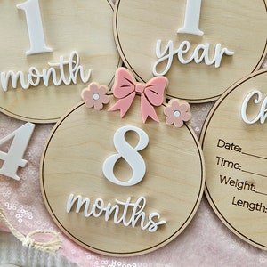 Monthly Milestone Discs | Baby Monthly Discs for Photos ...