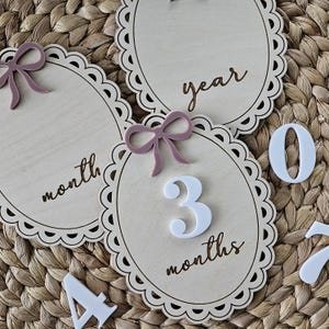 Bow Themed Monthly Milestone Discs | Baby Monthly Discs for Photos ...