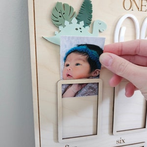 Dino Themed First Birthday Board | First Birthday Photo Frame ...