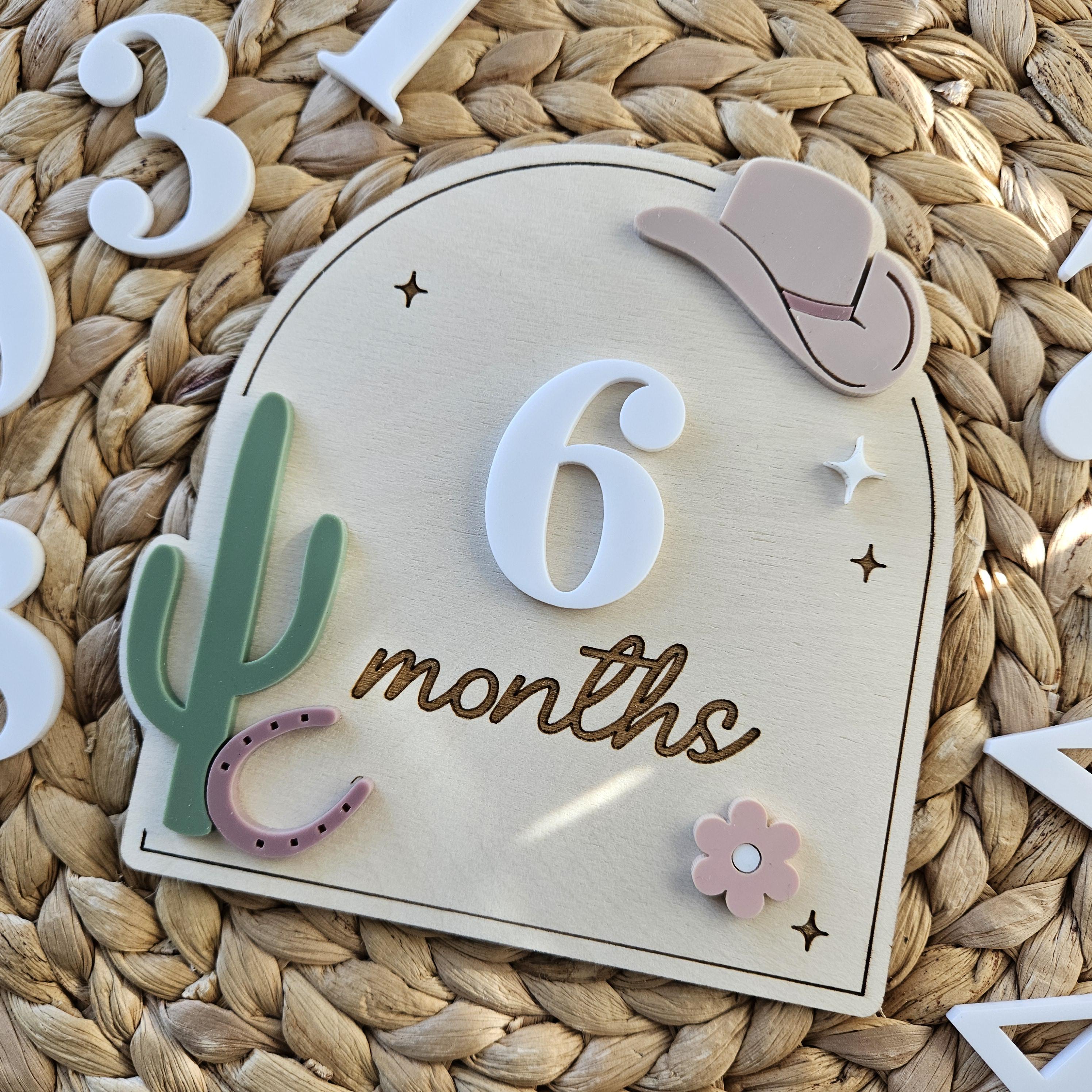 Cowboy Monthly Milestone Discs | Baby Monthly Discs for Photos ...
