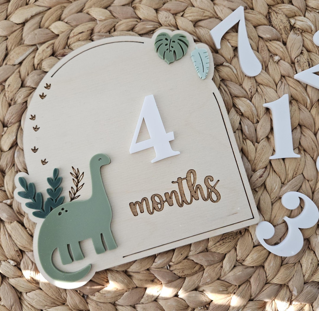 Dinosaur Monthly Milestone Discs | Baby Monthly Discs for Photos ...