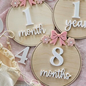 Monthly Milestone Discs | Baby Monthly Discs for Photos ...