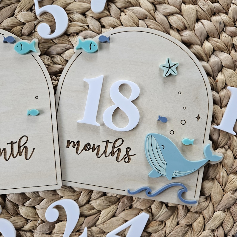 Ocean Whale Baby Milestone Discs | Reversible Monthly Photo Prop - Etsy
