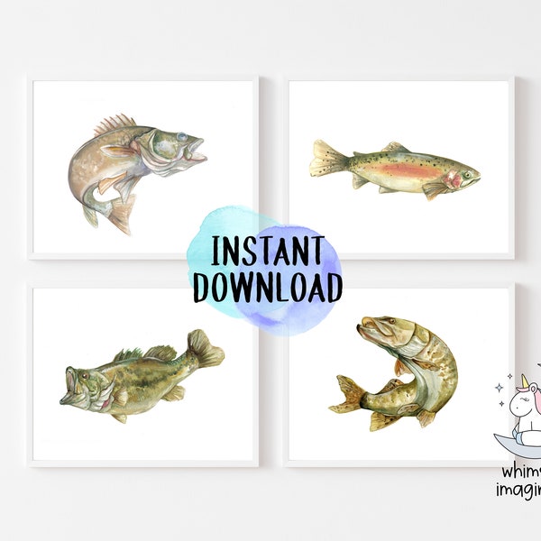 Freshwater Fish Art - Etsy