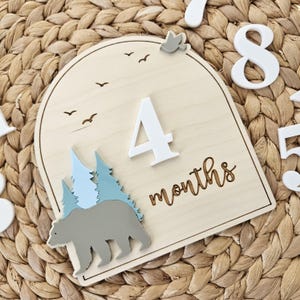 Bear and Trees Monthly Milestone Disc | Baby Monthly Discs for Photos ...