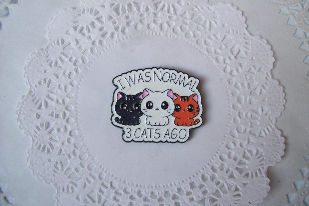 Cat Magnet - Humorous Magnet - Funny Cat Magnet - Repurposed Jewelry ...