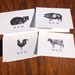 Personalized Pig Stationery Note Card Set - Etsy