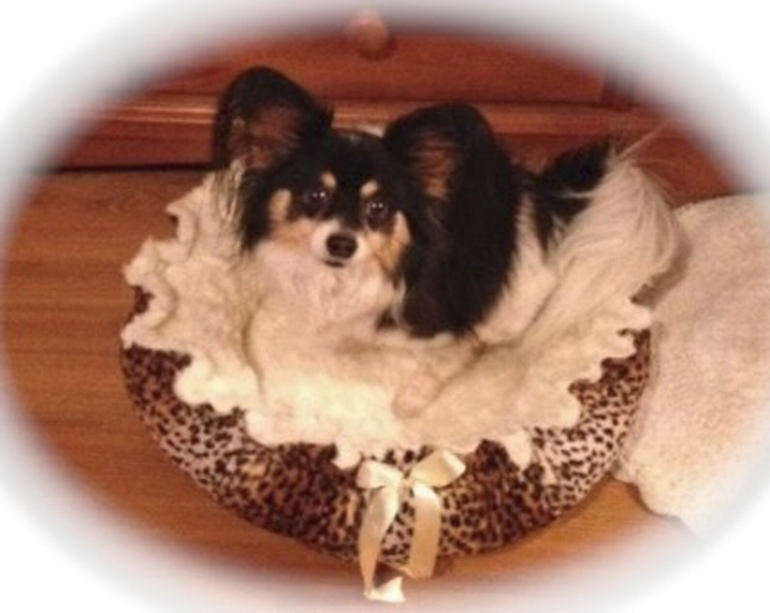 CHEETAH CHIC: Cheetah Print Velboa and Cream Rosette Minky Dog Bed - Etsy