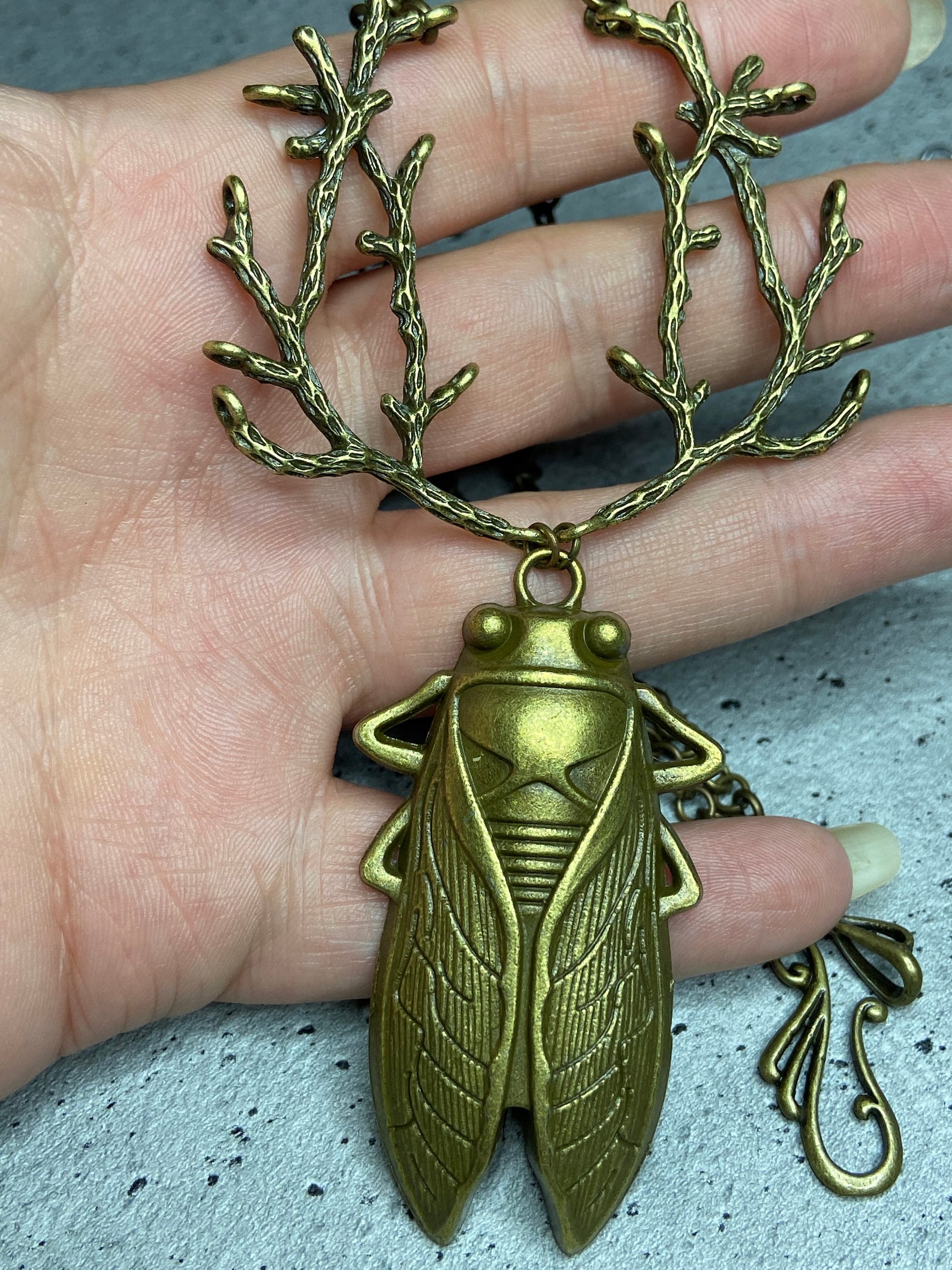 Cicada Insect Bug Necklace Silver or Bronze Rustic Necklace | Etsy