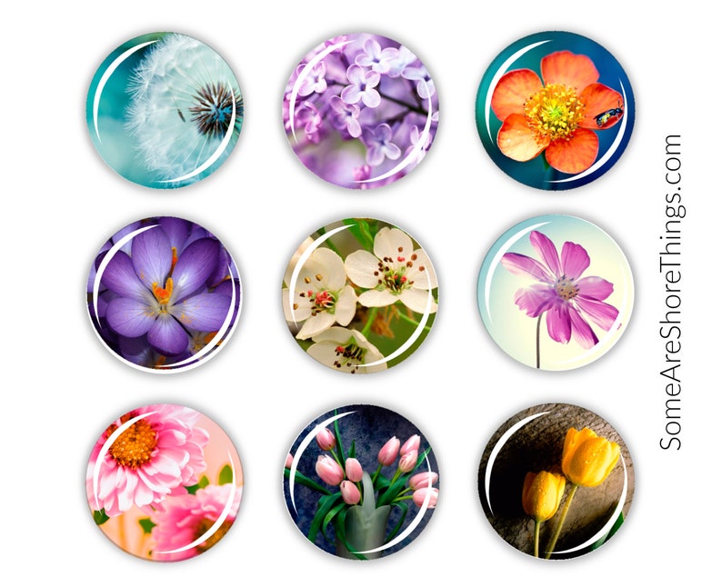 Magnets. Flower Magnet Set of 9 Spring Flower Photos. - Etsy