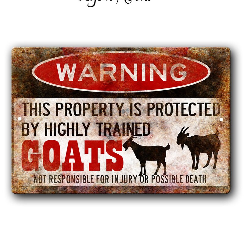 Goat - Etsy