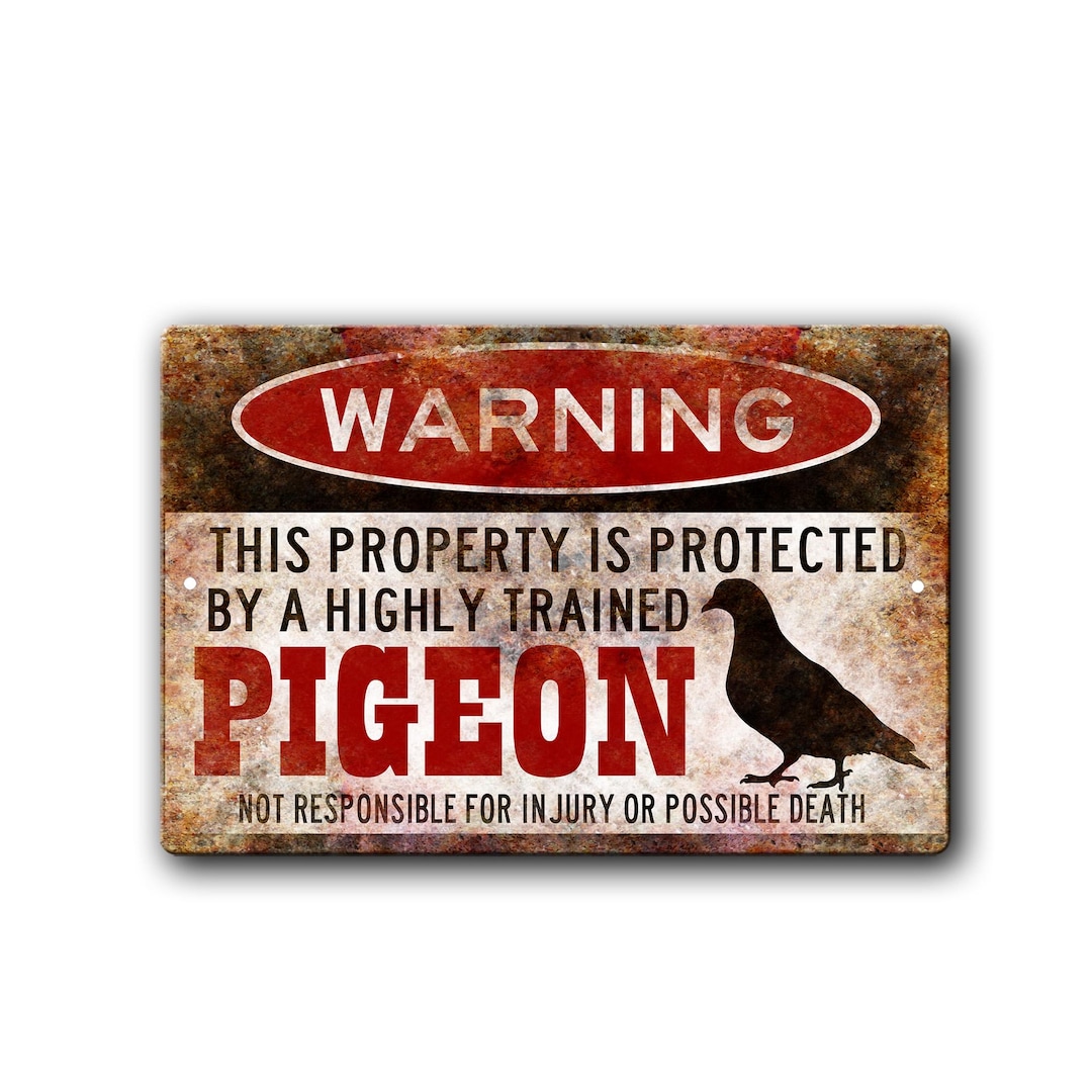 Pigeon Warning Sign - Funny Pigeon Gift - Pigeon Roost Sign - Pigeon ...