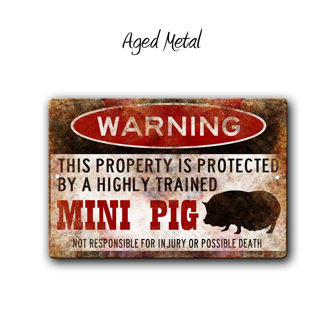 Mini Pig Sign,funny Metal Signs,pot Bellied Pig,pot Belly Pig,pig ...