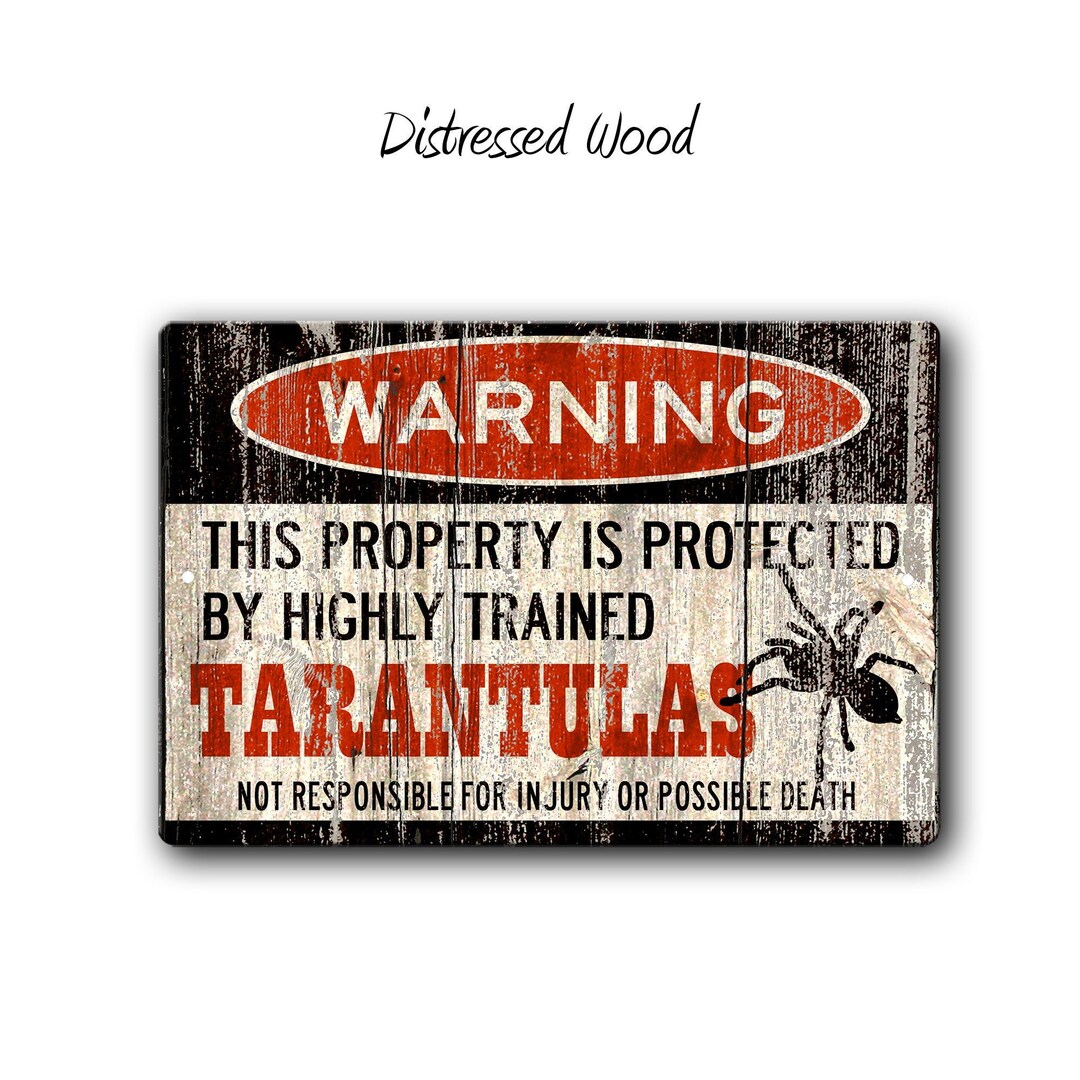 Tarantula Warning Sign, Funny Metal Tarantula Sign, Tarantula Gift ...