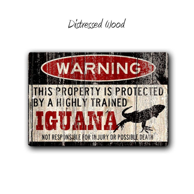 Iguana Signfunny Metal Signsiguana Accessorieslizard | Etsy