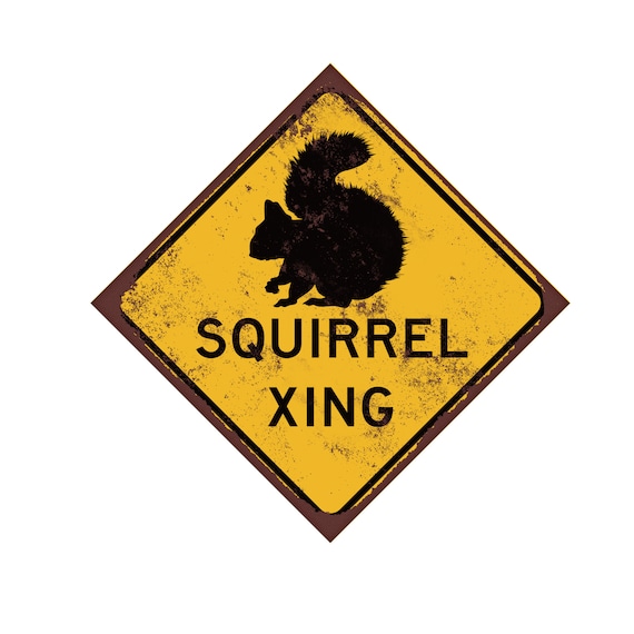Squirrel Crossing Caution Sign Funny Backyard Squirrel Sign - Etsy
