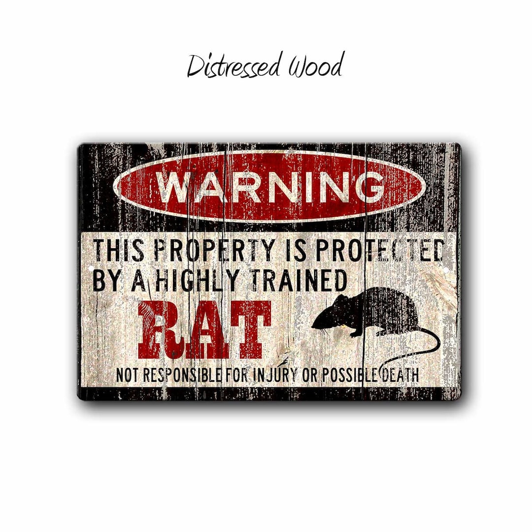 Rat Sign,funny Pet Rat Sign,rat Lover Gift,funny Metal Signs,rat ...