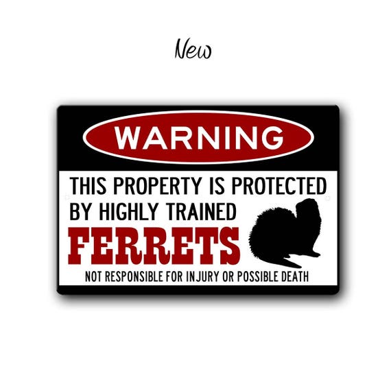 Ferret Signs Baby Ferret Wood Sign Cute Animal Wall Art