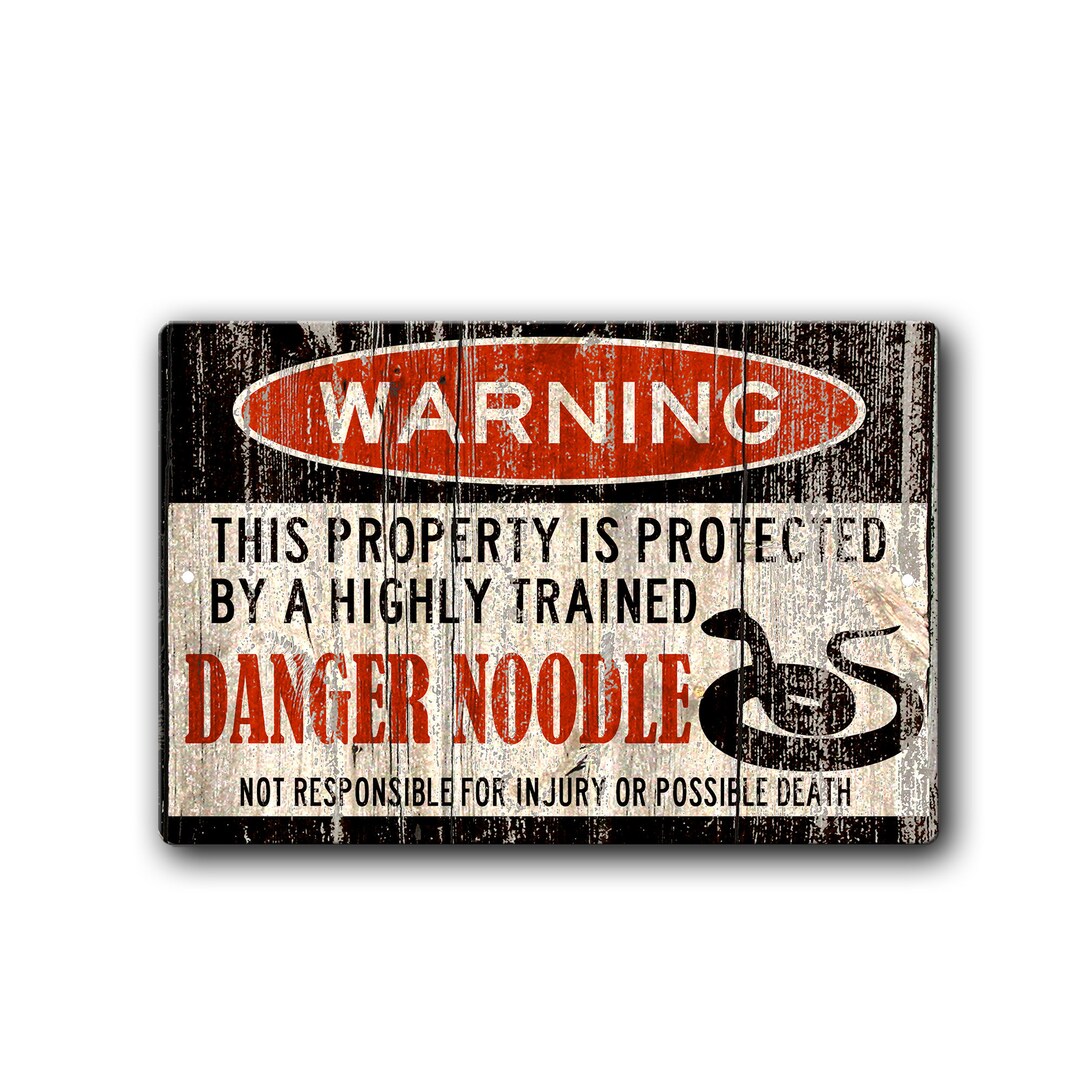 Funny Danger Noodle Snake Metal Sign, Exotic Pet Warning Reptile Decor ...