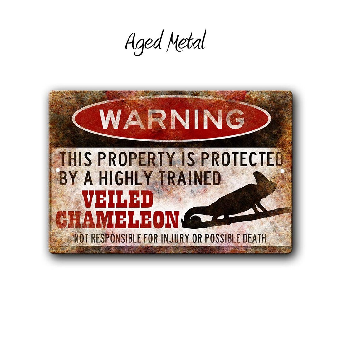 Veiled Chameleon Sign,funny Metal Signs,chameleon Gift,chameleon ...