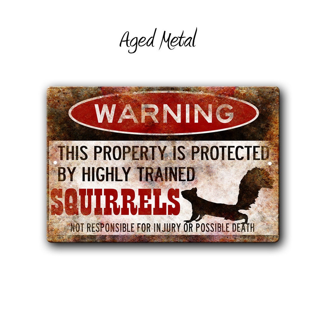 Squirrel Sign,funny Metal Signs,protected by Squirrels,squirrels ...