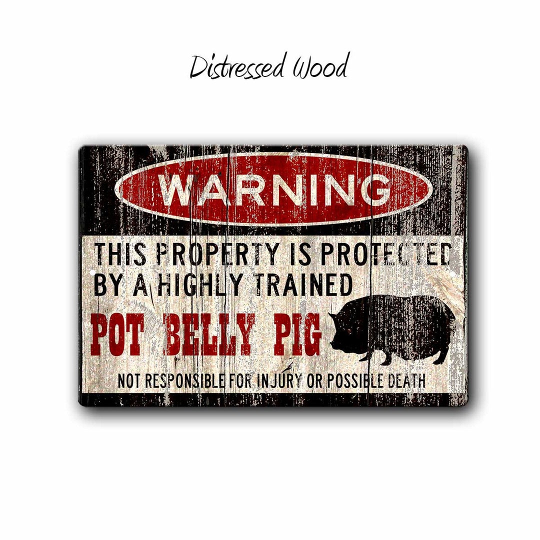 Pot Belly Pig Sign,funny Metal Signs,pot Bellied Pig,pot Belly Pig,pig ...