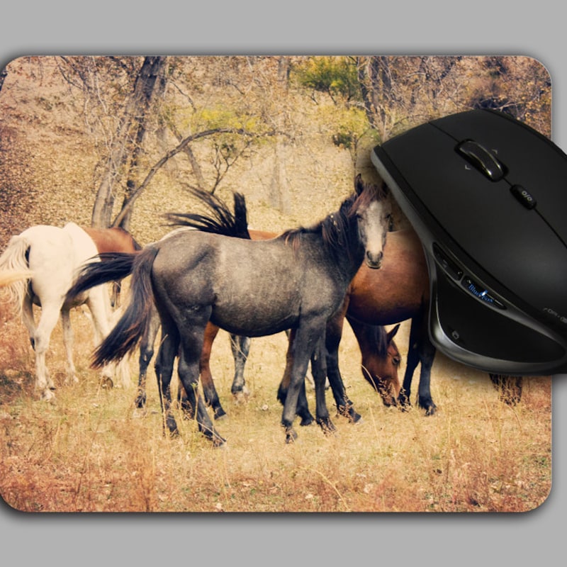 Horse Mouse Computer - Etsy
