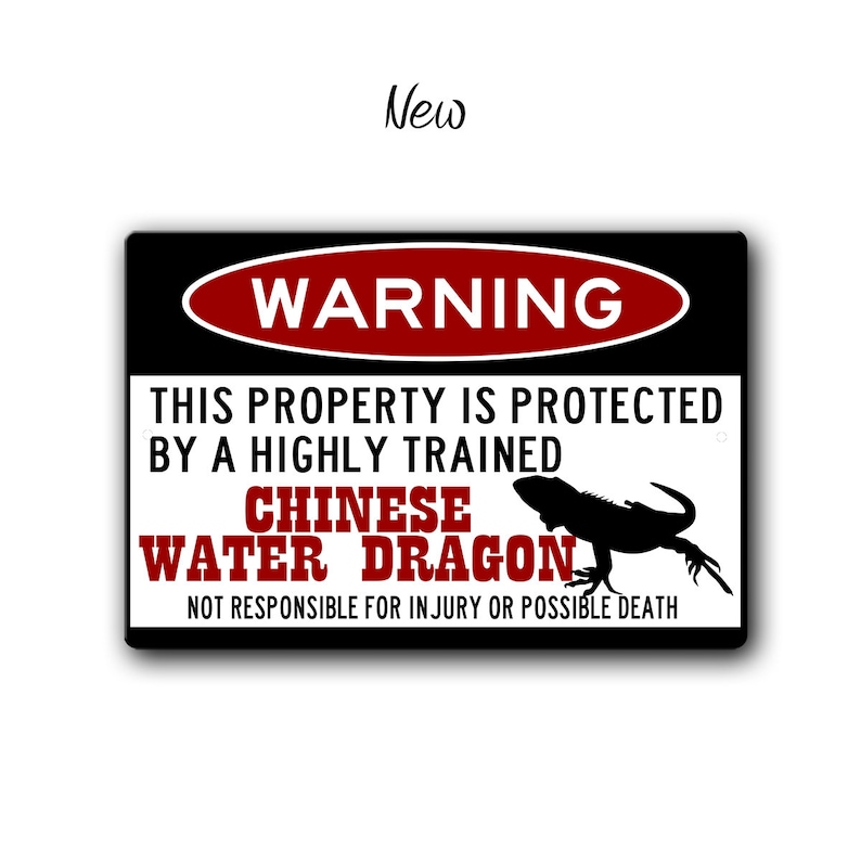 Chinese Water Dragon Warning Sign, Pet Lizard Decor - Etsy