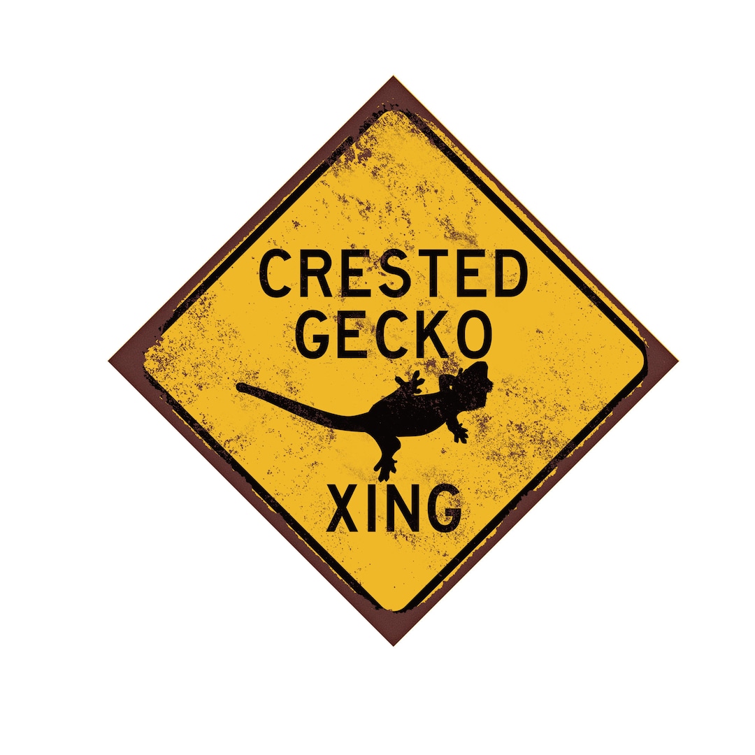 Crested Gecko Crossing Sign, Xing, Caution, Small Pet Gift, Lizard ...
